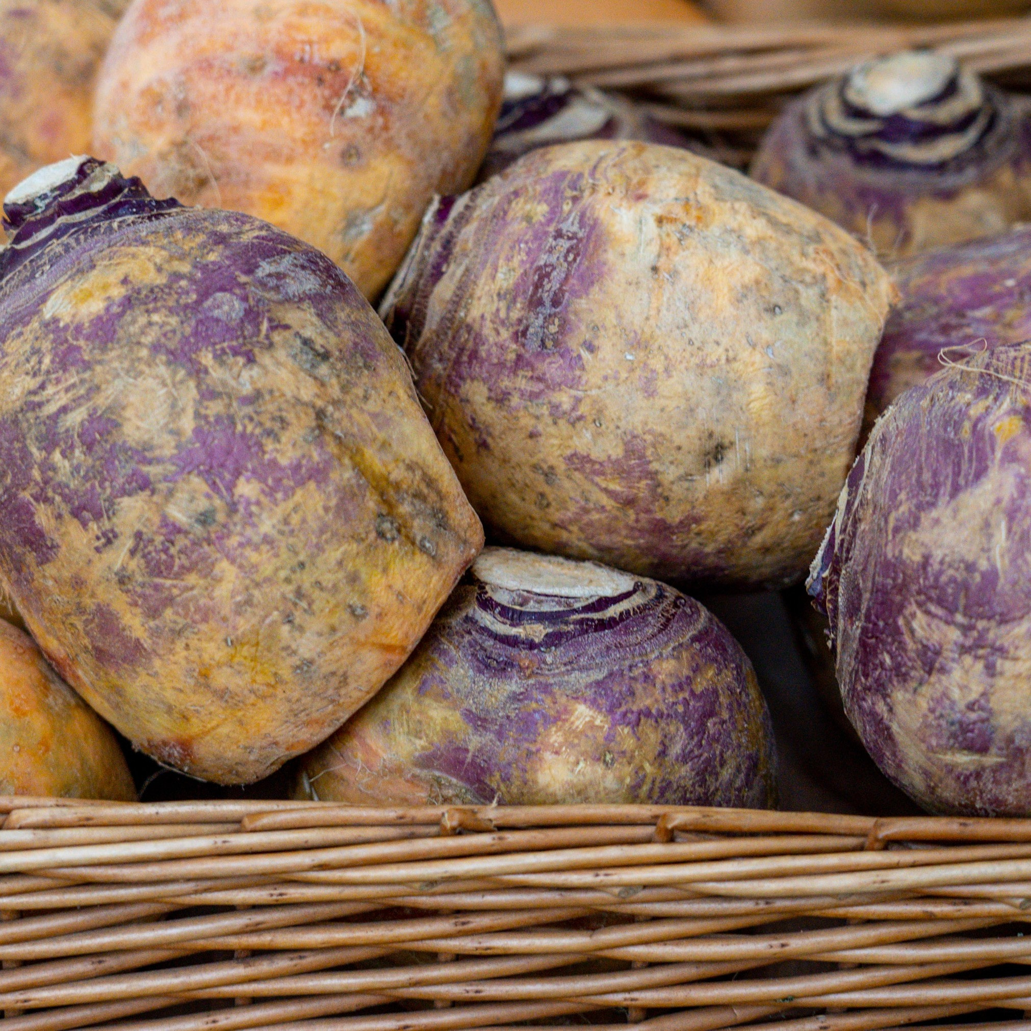 The UK Guide to Growing Swedes - GrowPatch