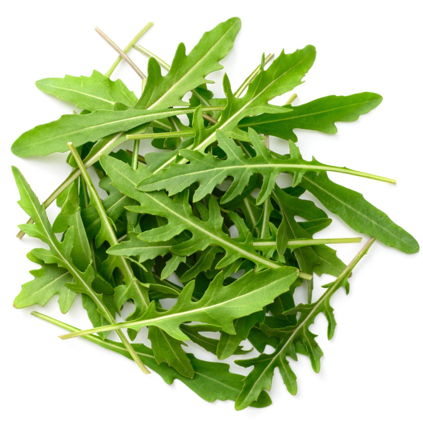 The UK Guide to Growing Rocket - GrowPatch