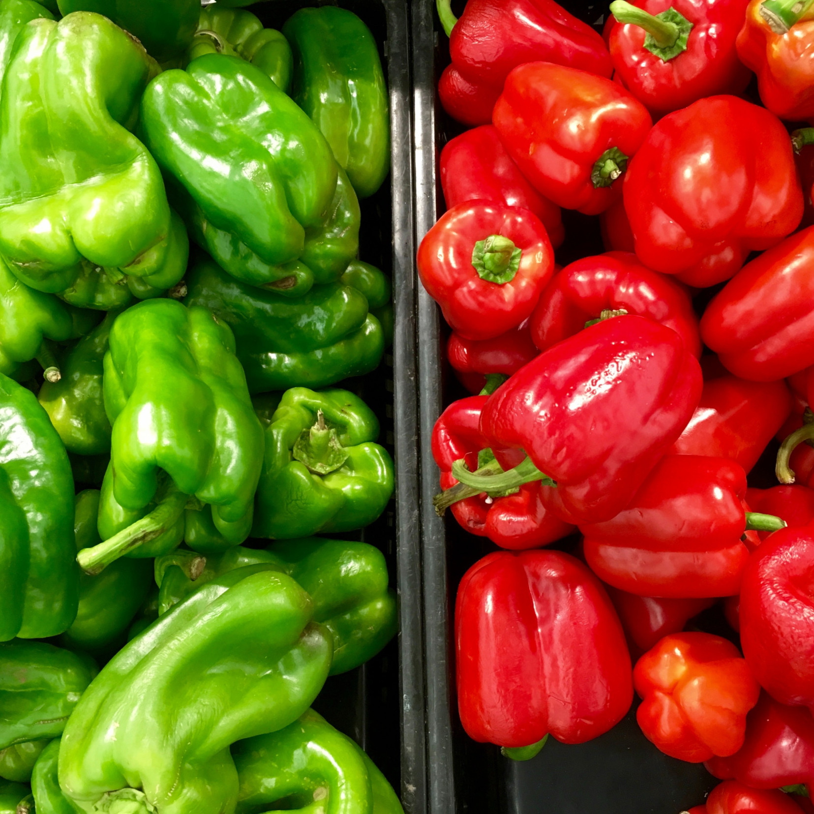 Growing Peppers in the UK: A Complete Guide - GrowPatch