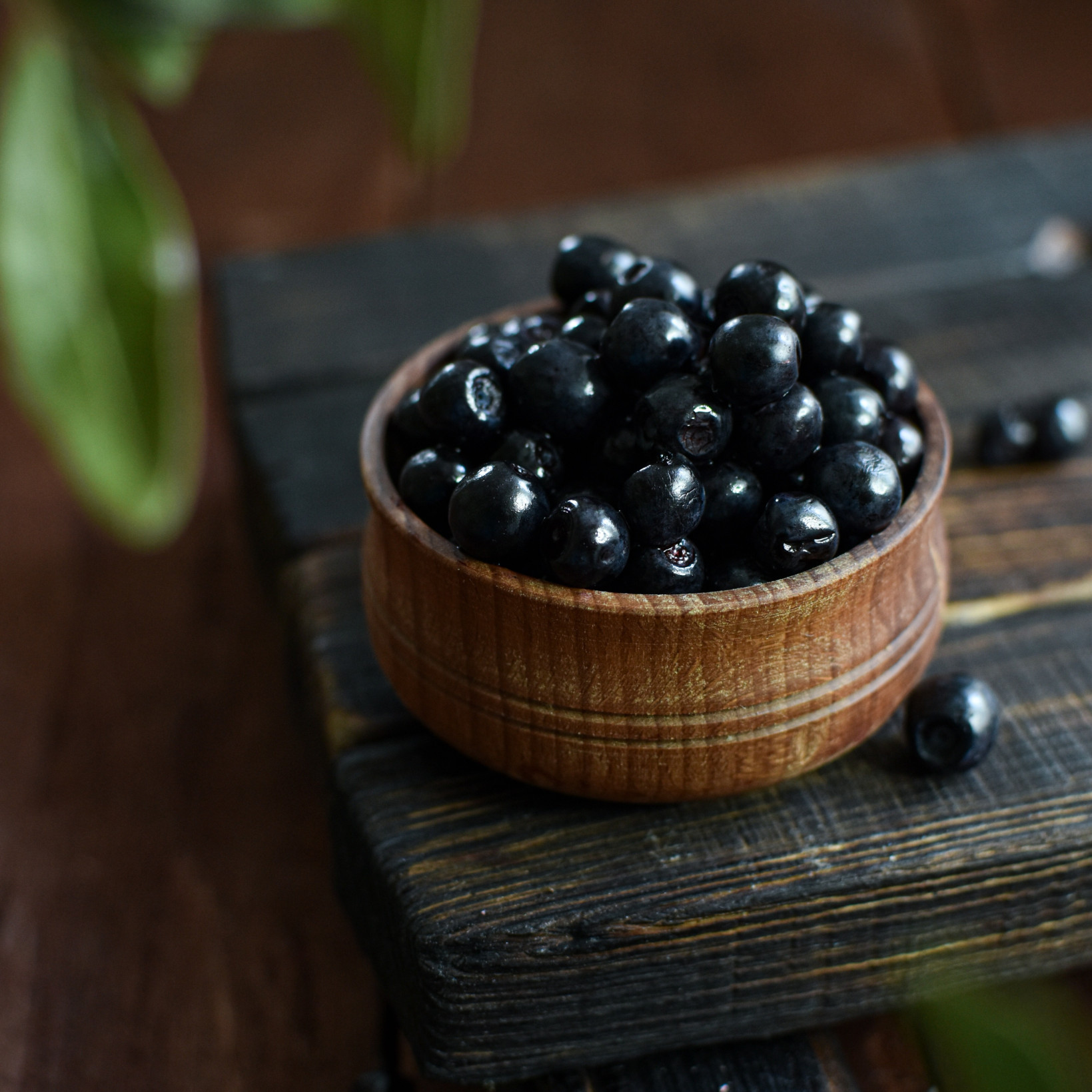 The UK Guide to Growing Blackcurrants - GrowPatch