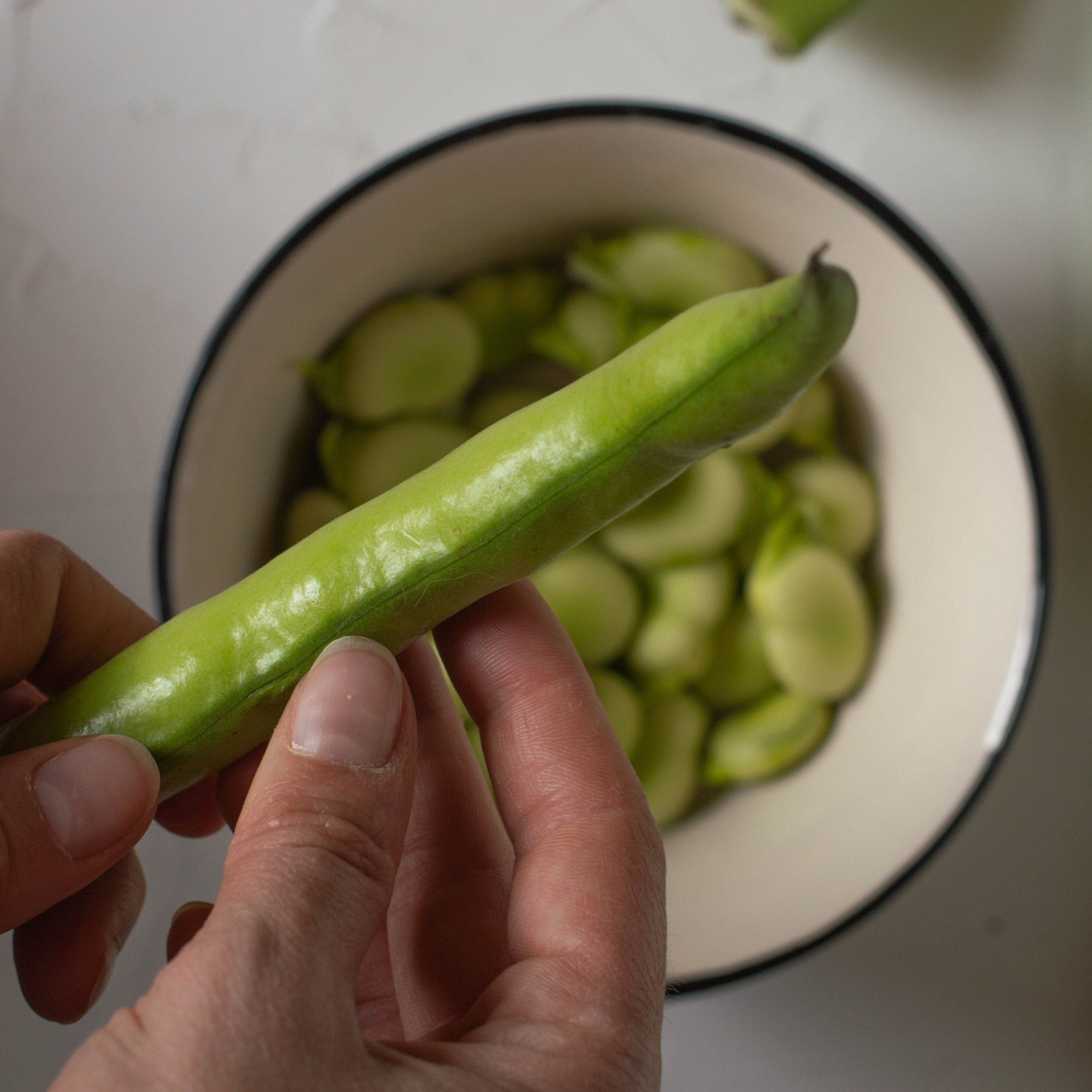 Growing Broad Beans in the UK: A Complete Guide - GrowPatch