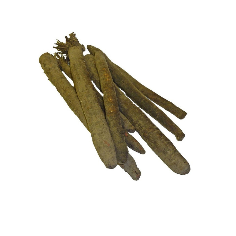 Cultivate Salsify in the UK: A Complete Guide - GrowPatch