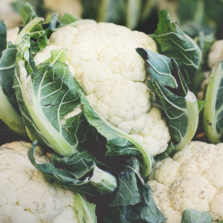 Growing Cauliflower in the UK: A Detailed Guide - GrowPatch